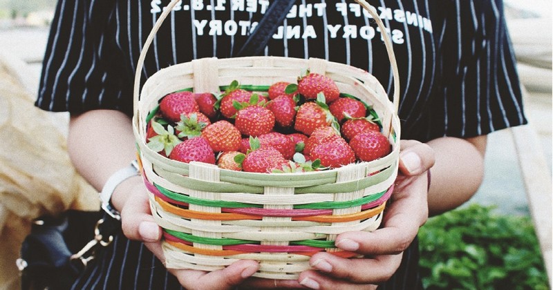 26 Aphrodisiac Foods That Will Improve Your Intimate Relationships